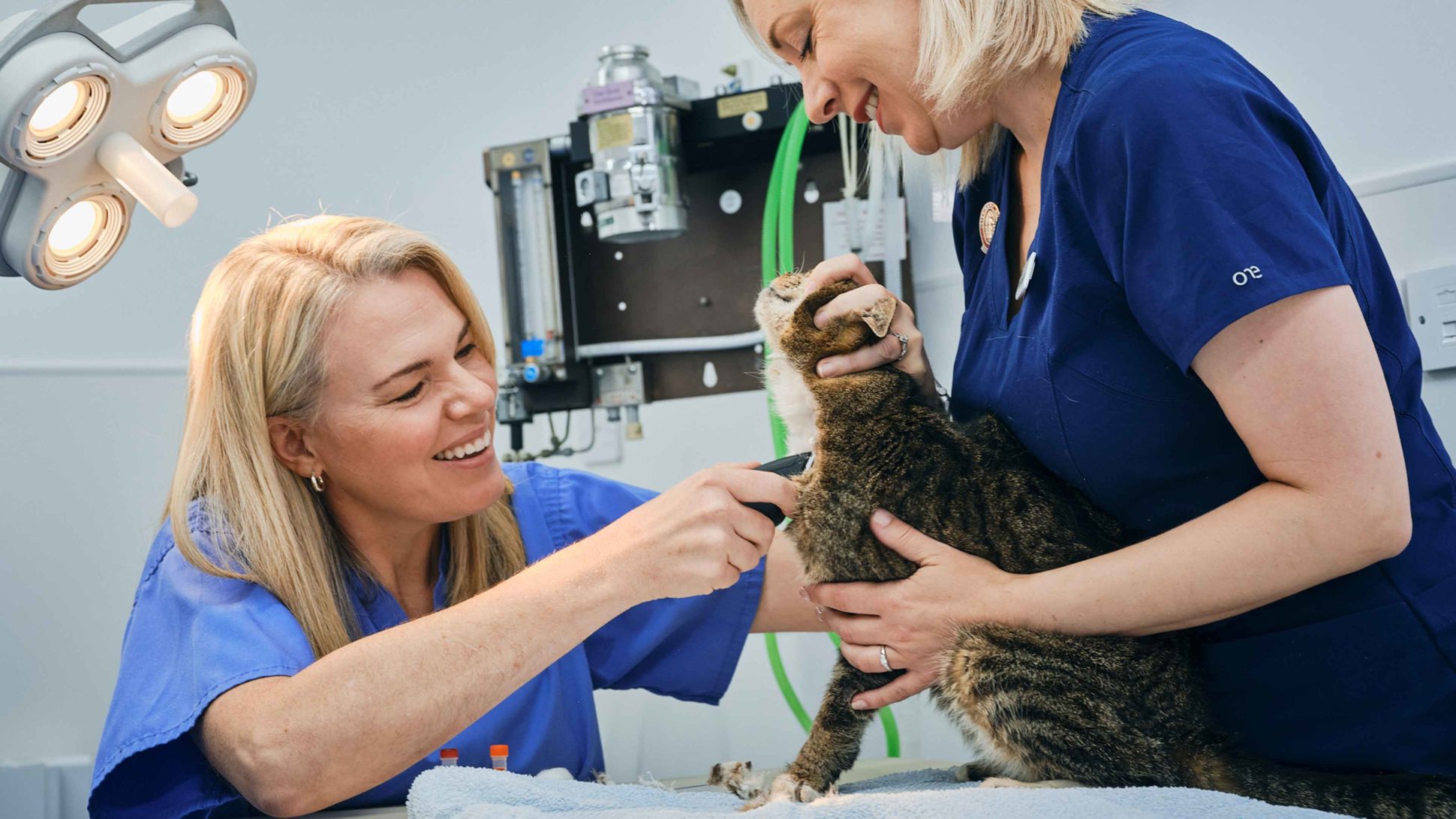 Paws Indoors Mobile Vets - our team