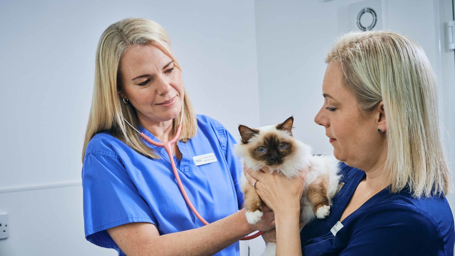 Paws Indoors Mobile Vets - Treatments and Services