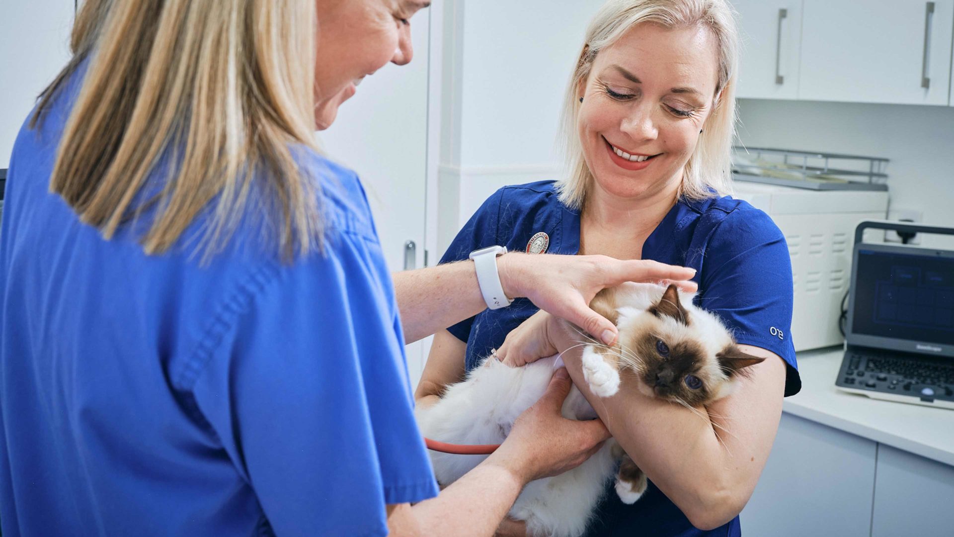 Paws Indoors Mobile Vets - medication and prescriptions