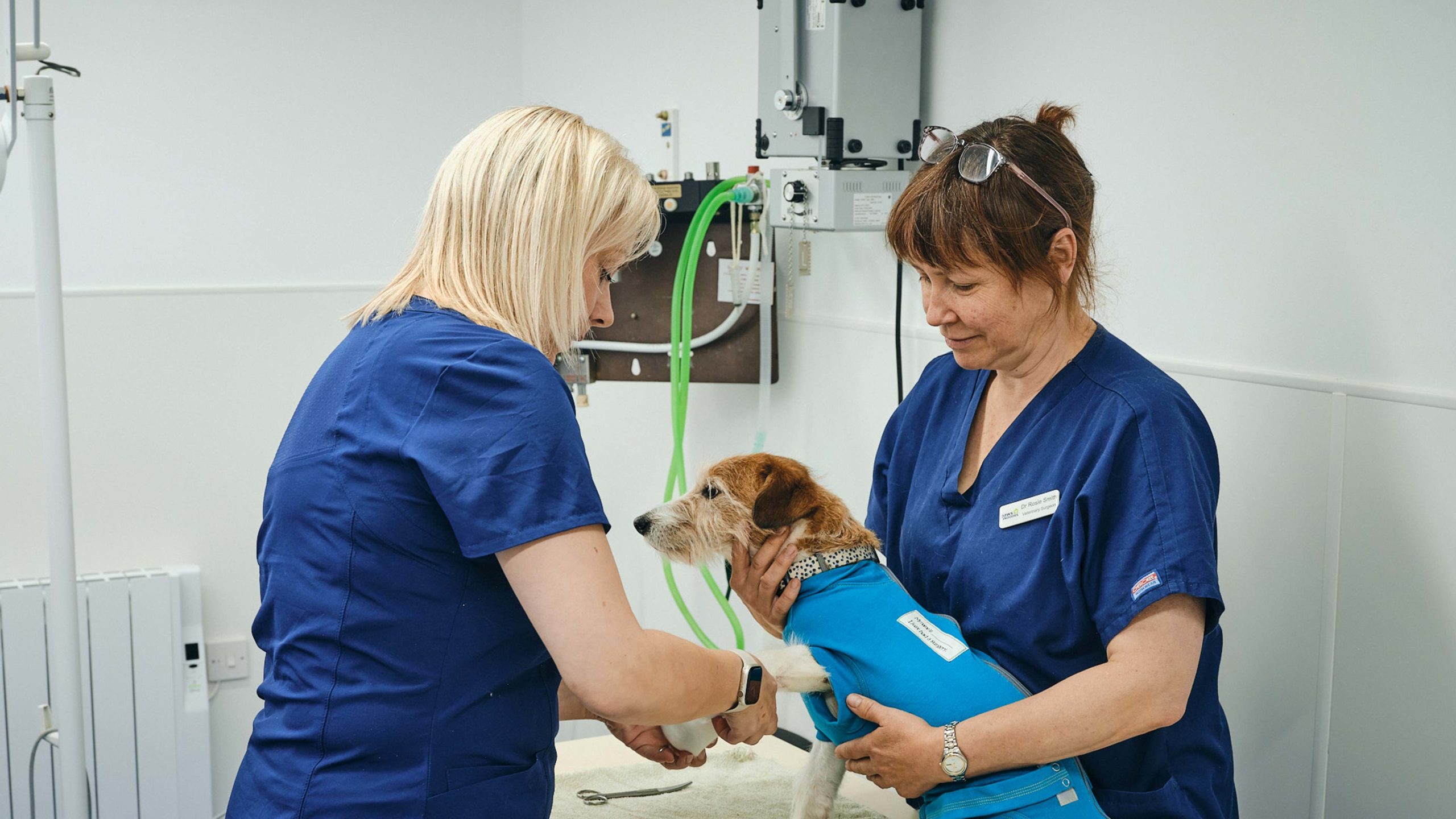 Paws Indoors Mobile Vets - costs for home visit vet services