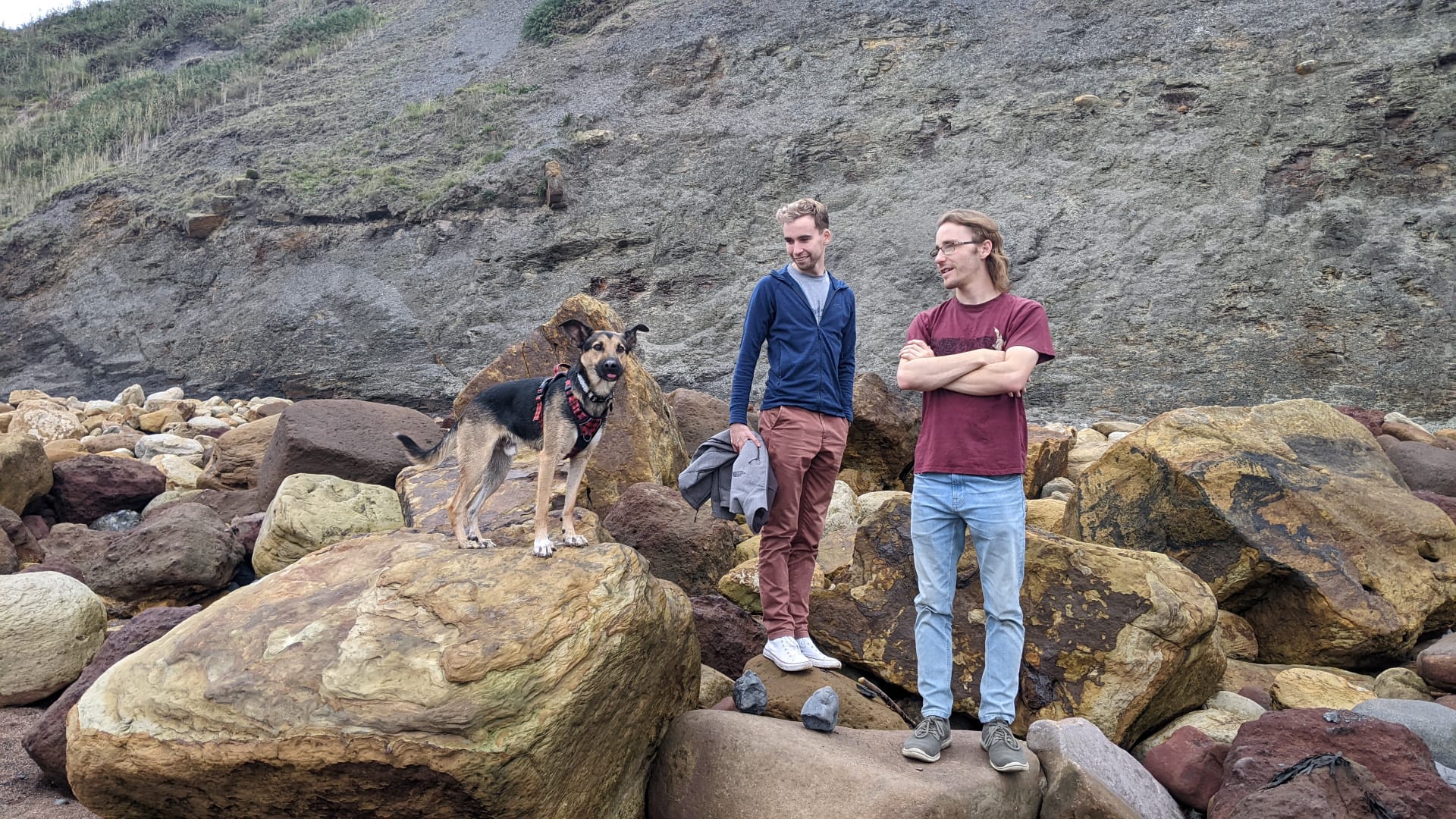 Paws Indoors Mobile Vets - home visits